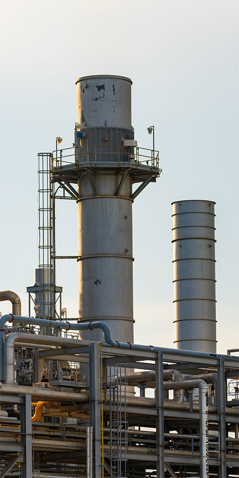 Consequat duis - Jash Impex